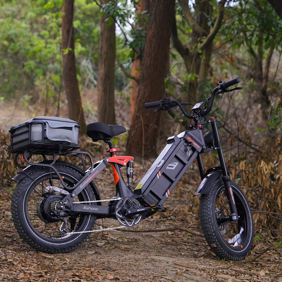 Eahora Electric Bikes